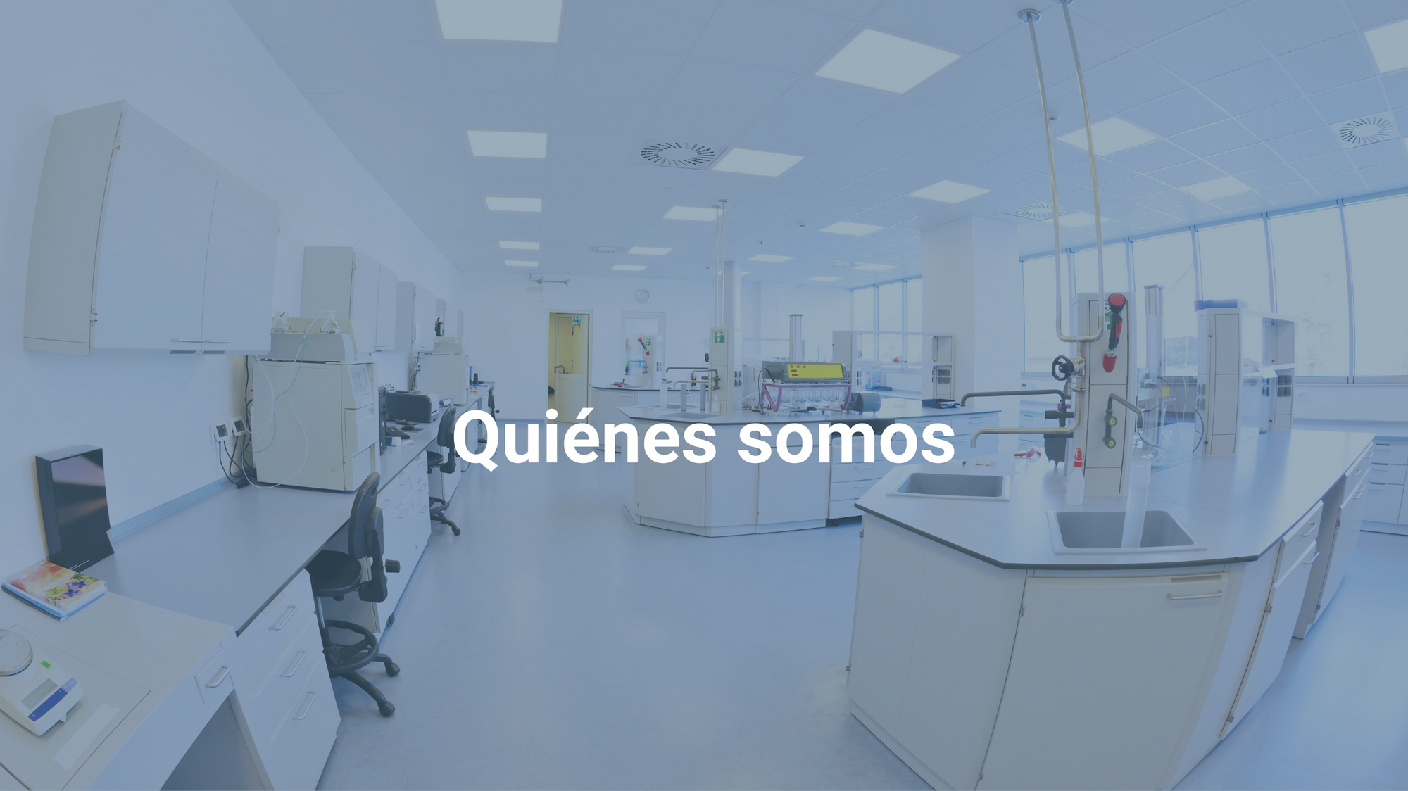 Quiénes Somos – CSLAB