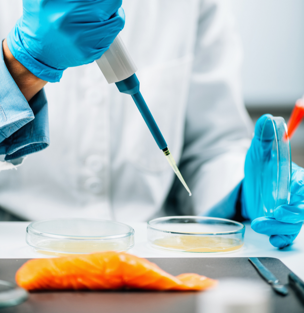 Análisis Físico Organolépticos – CSLAB